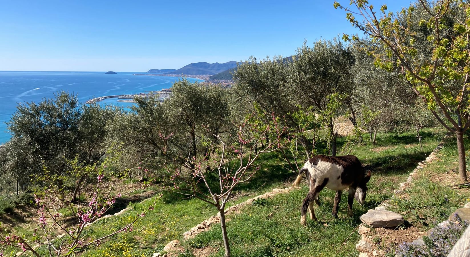 Parco Natura Asinolla